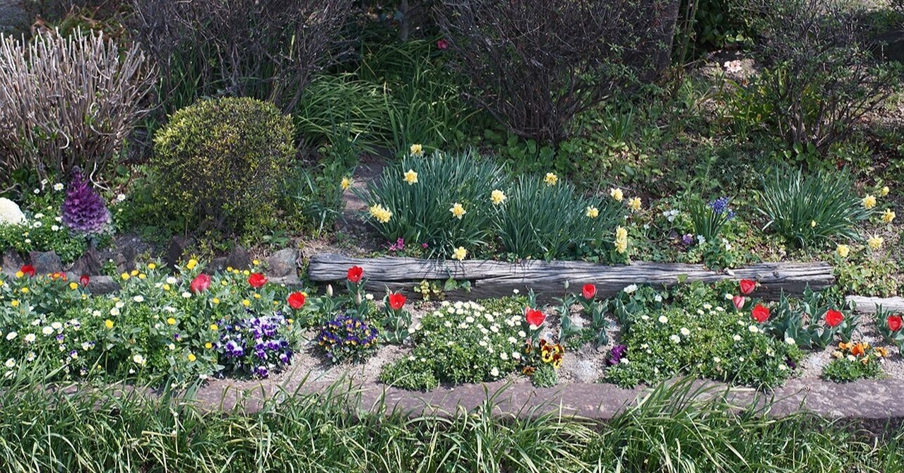 祖母の黒い服 #2｜古川節子（Furukawa Setsuko)｜note