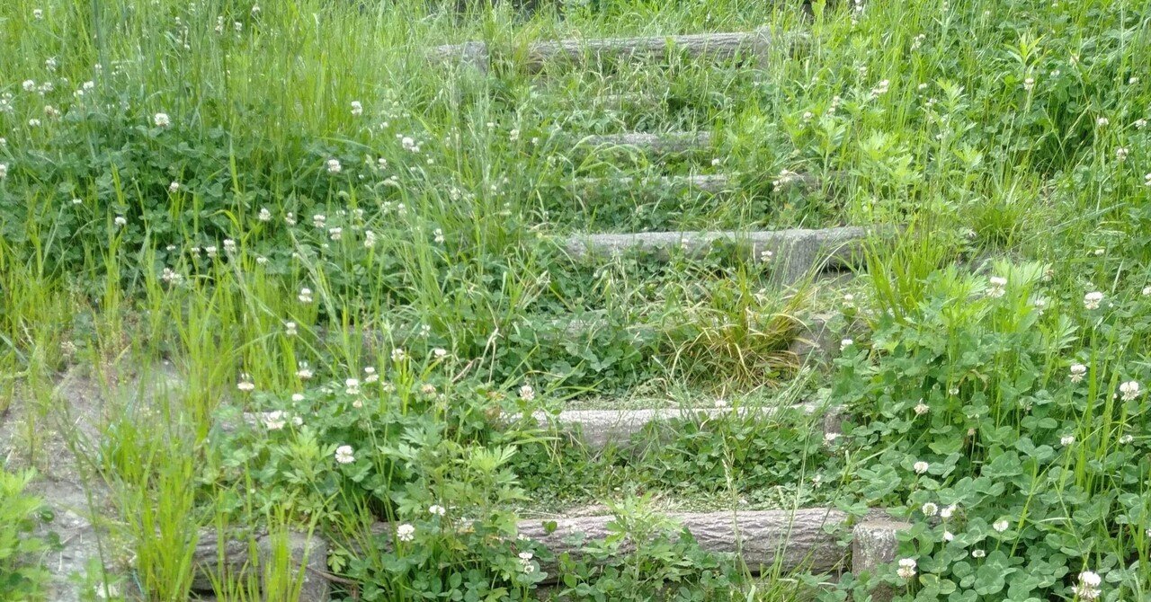 日記 3月19日〜3月24日｜nika