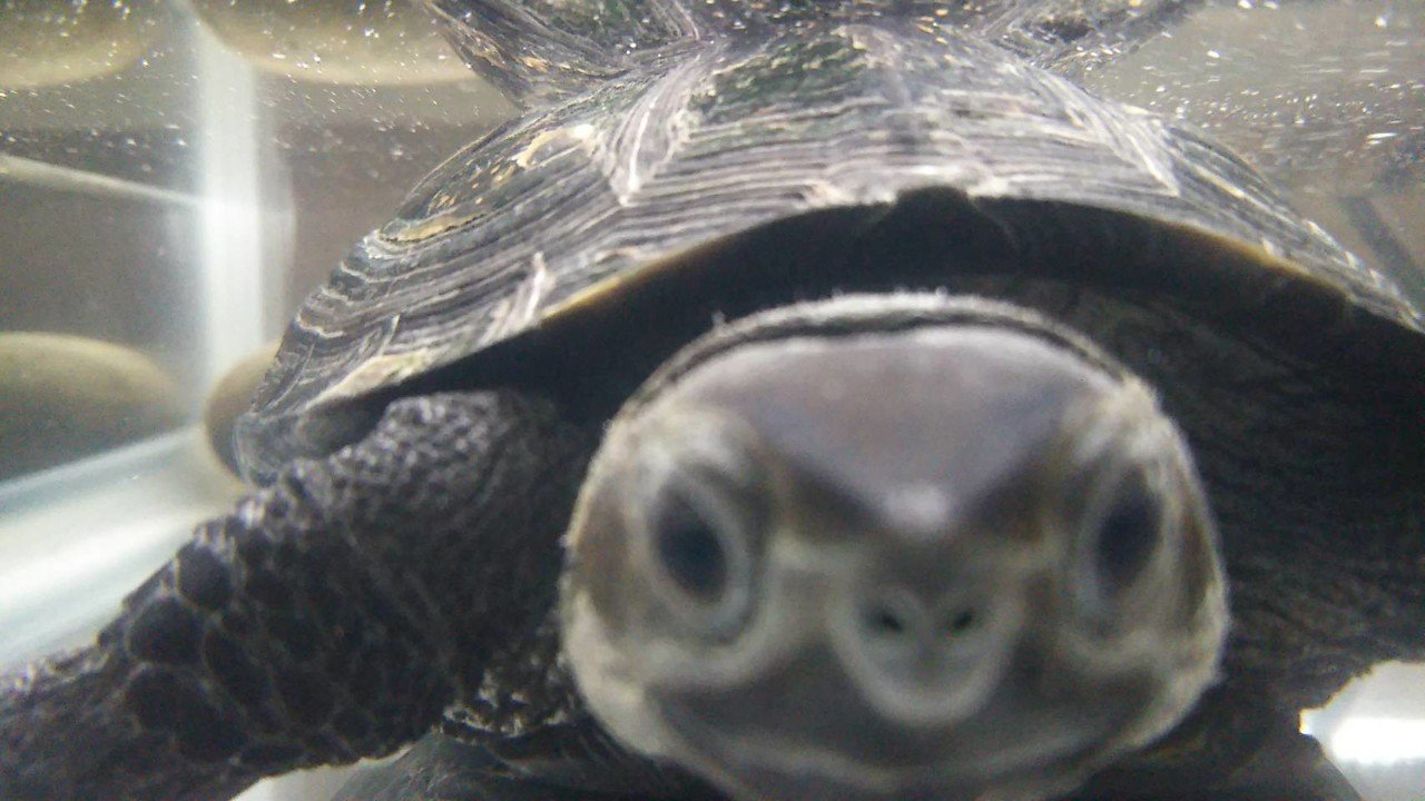 No.20｜Hirotoshi Uchida｜note