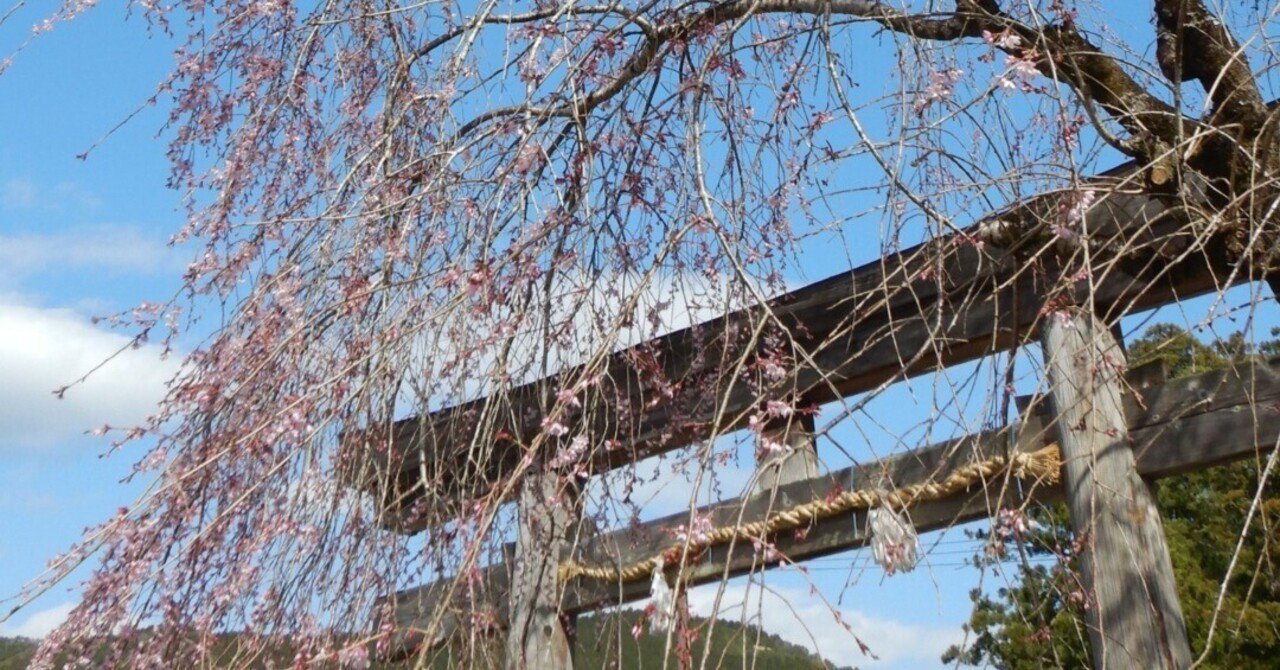 2022.3.19～24 camino de KUMANO vol.2｜coldmountainstudy・鳥越将路