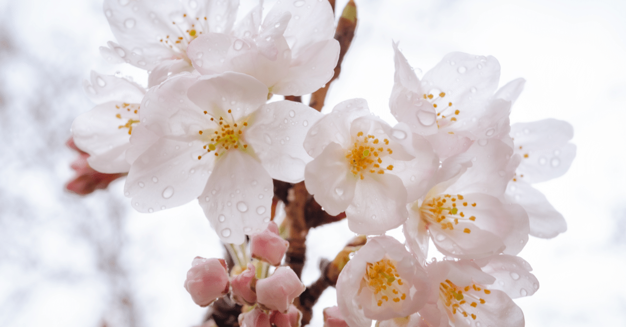 第2回お写歩会 -葛西臨海公園編-｜Masato Ochiai