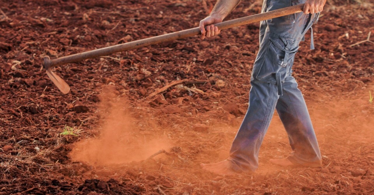 RAPTブログを読んで既存の考えを崩していくことによって自分が変わる喜び｜ck_wakaba