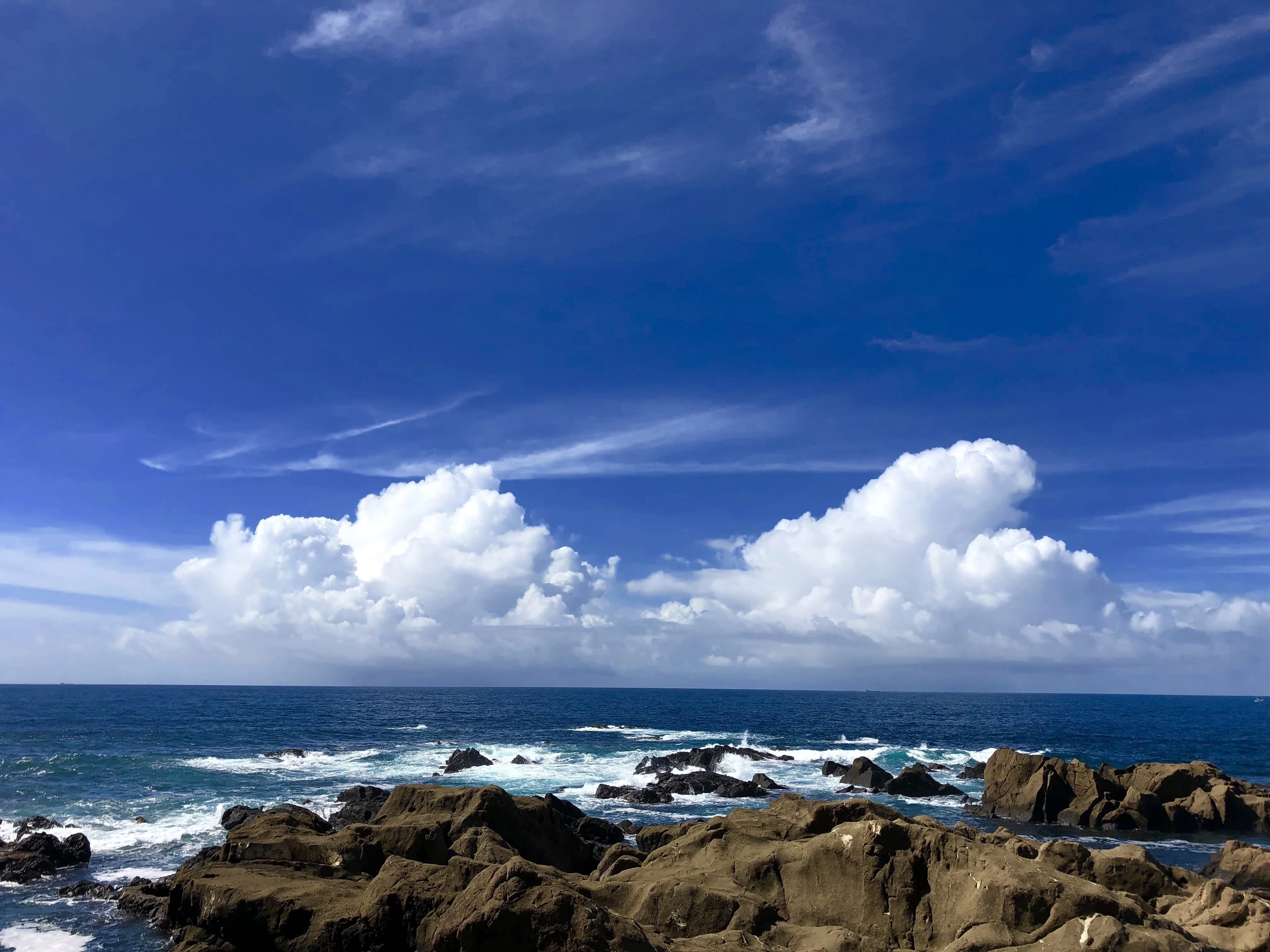 liquid sky｜note