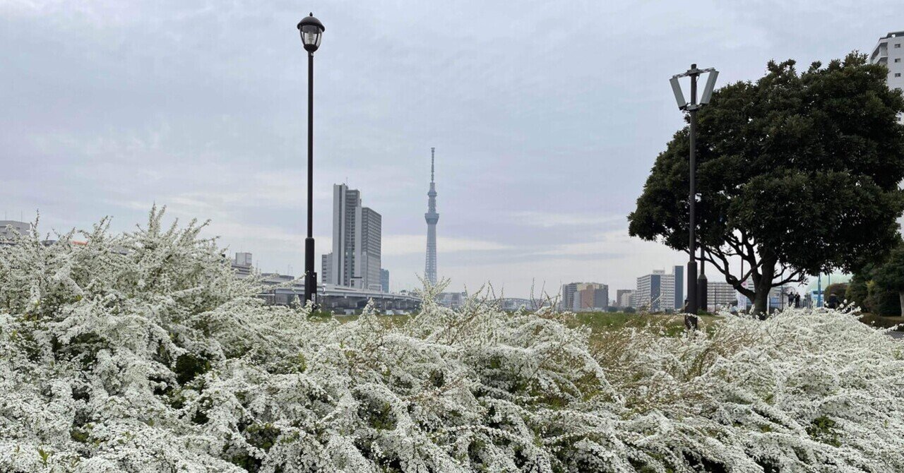 新女王到着🐝【養蜂生活345日目】｜yabusan（823）