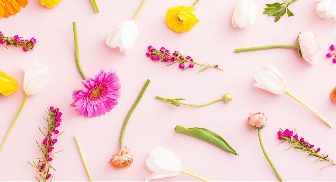 colorful_beans｜note