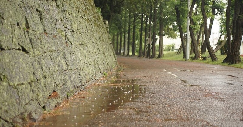 祖母の黒い服 #5｜古川節子（Furukawa Setsuko)