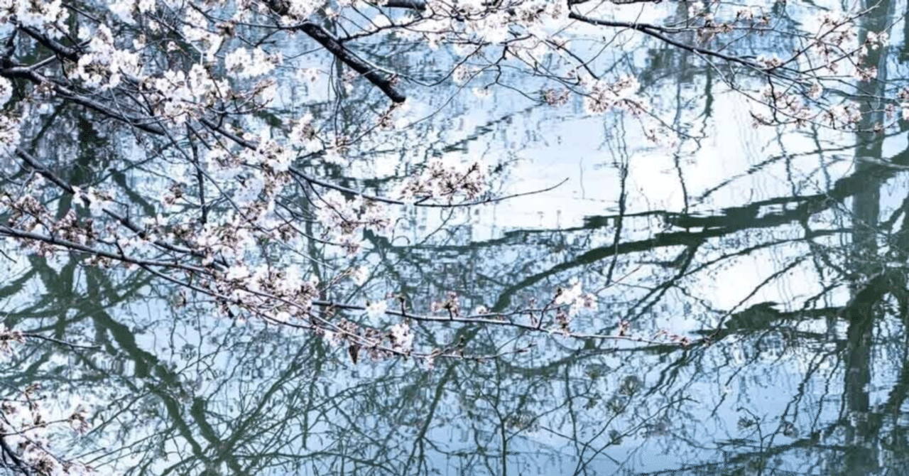 Insistence on winning and losing｜RED