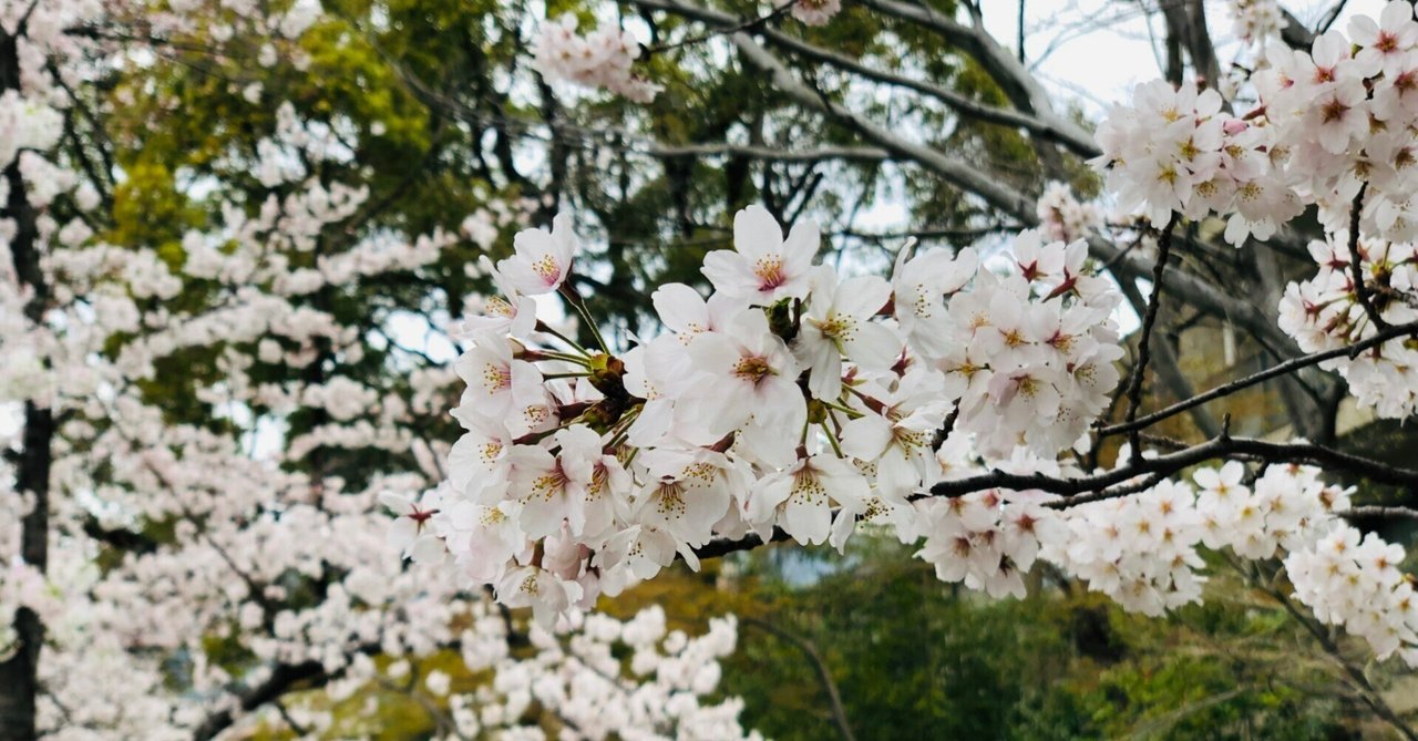 描いた絵が、初めて売れた！！｜Daisuke Oi／大井 大輔｜note