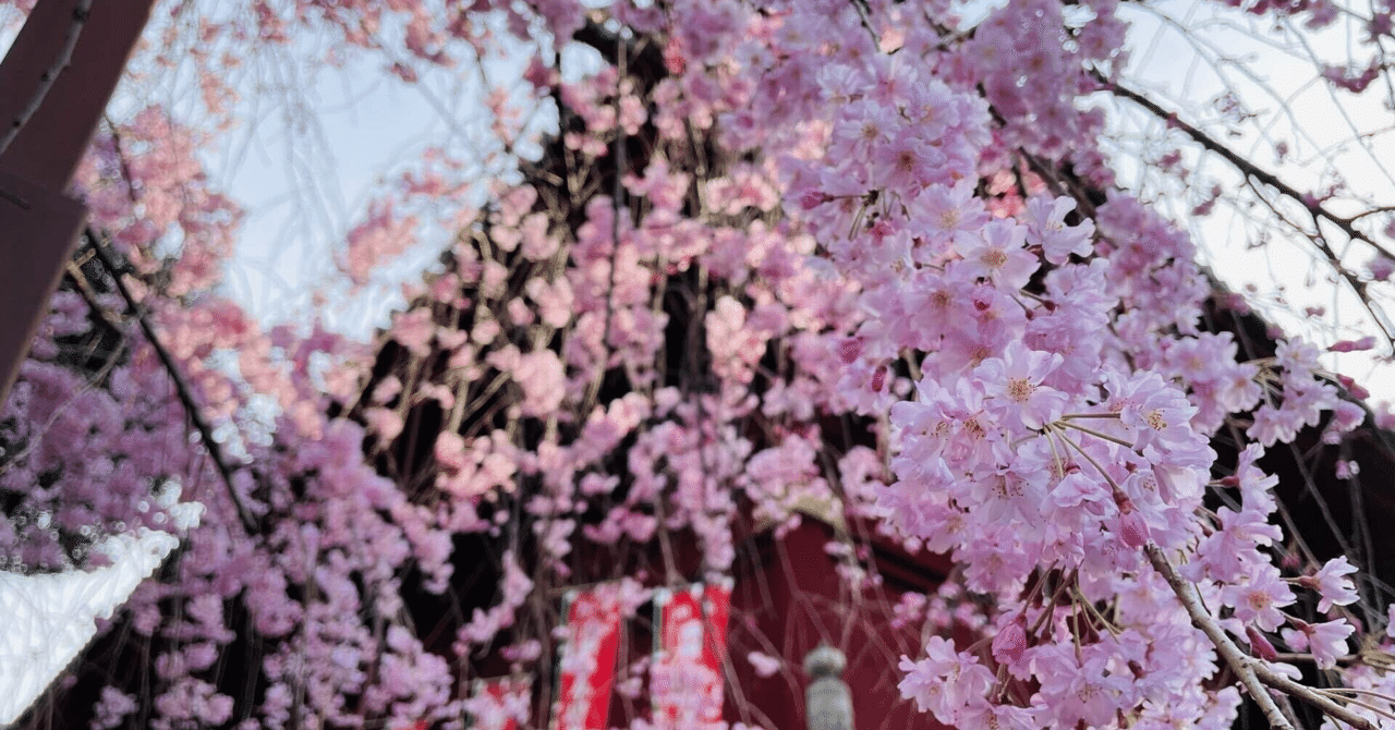 Vol.964 優しいから好きになったのではなく（あなたにエッセンスの利いたフレーズを！）｜アールグレイ