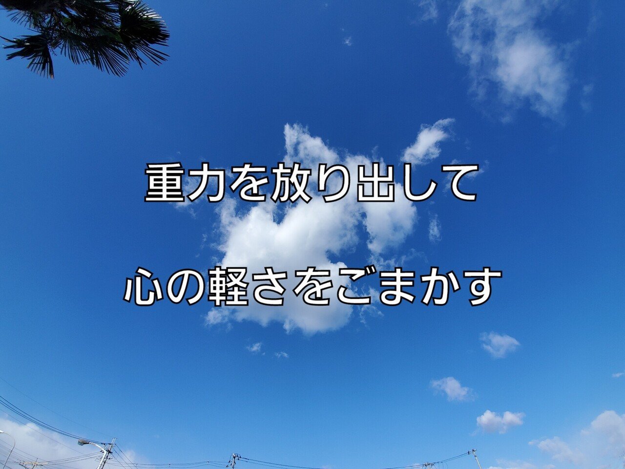 ごまかし｜涼香静(Ryoka sei)｜note