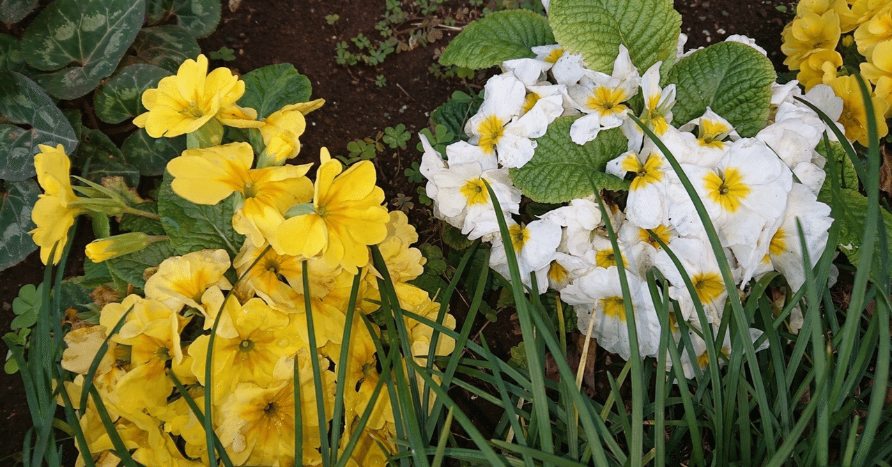 【感想】📗甦るロシア帝国 🖊佐藤優｜yuto_frabyn