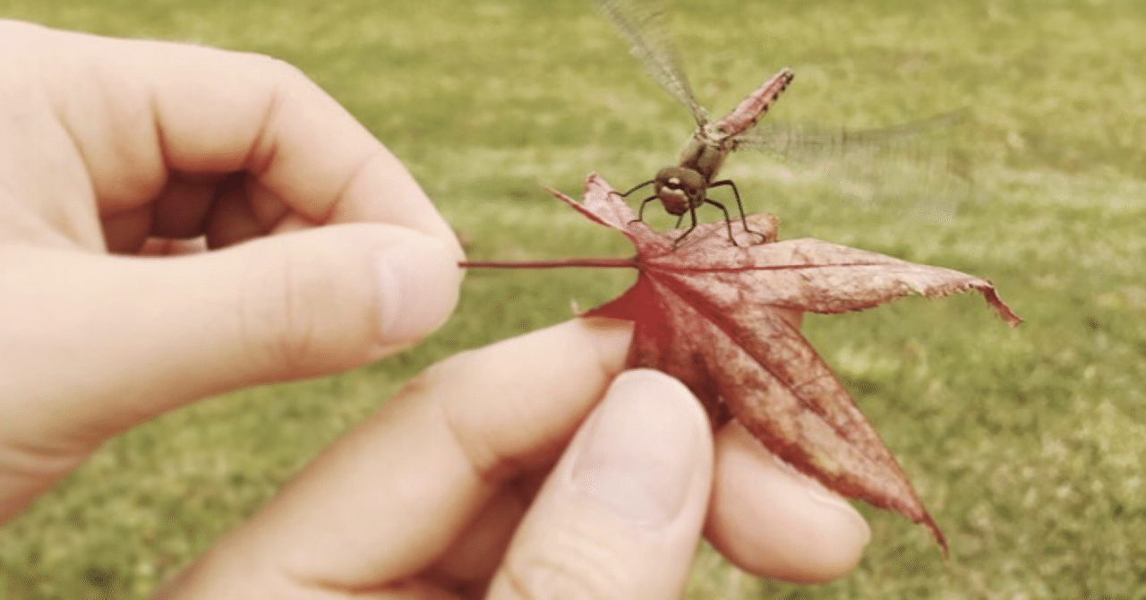 「あなたをわかりたい」｜Miho lily ｜note