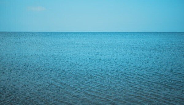 オンラインで金継ぎコースレッスンを開講します！｜金継ぎ師guu.