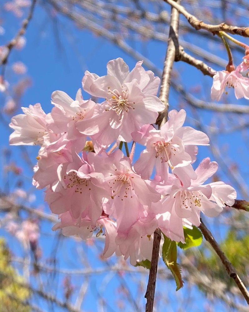 ちょうどいい｜EMIKO PURENESS