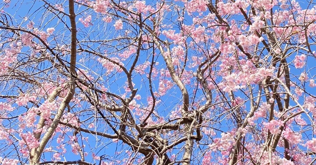 ちょうどいい｜EMIKO PURENESS