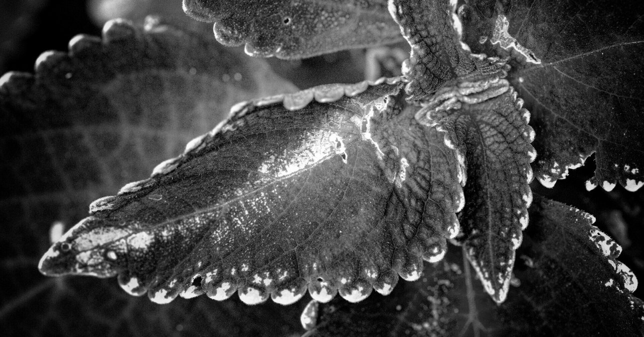 Fragment 22.04.10｜u2