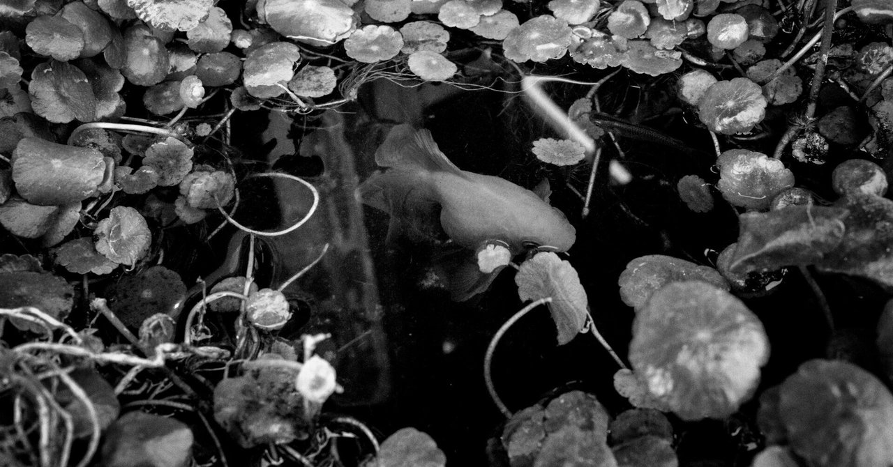 Fragment 22.04.14｜u2｜note