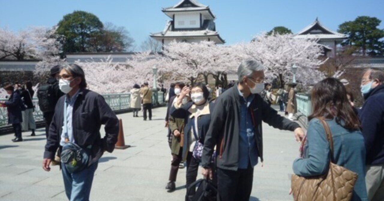 市内の桜巡り｜koichi sugihara