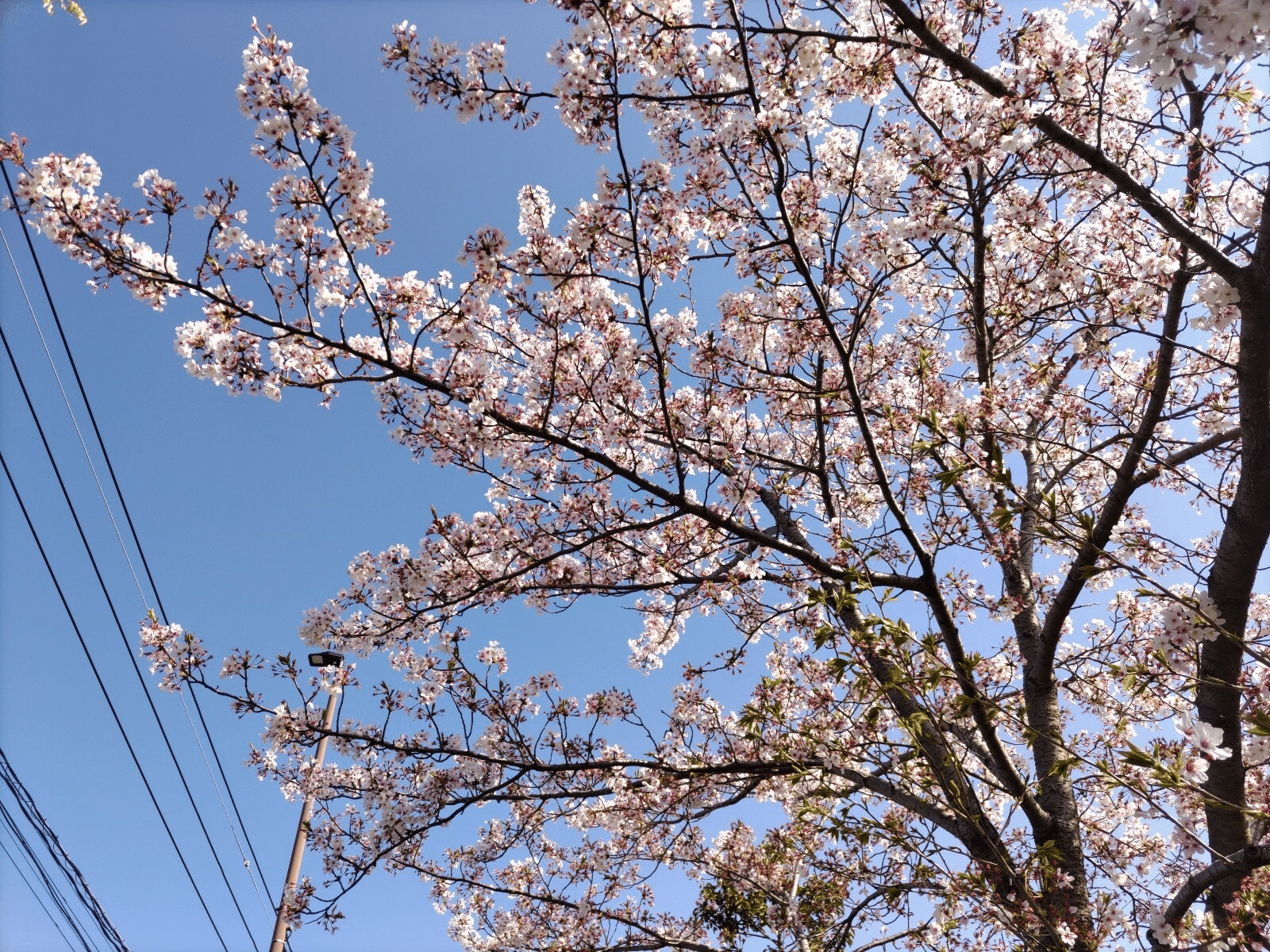 浮世亭墨屋｜note