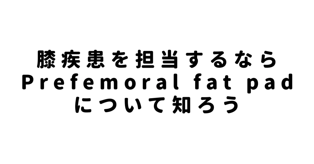 膝疾患を担当するならPrefemoral fat padについて知ろう｜松井 洸