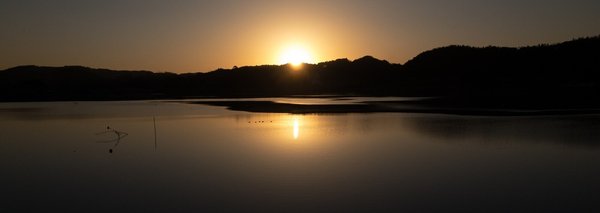 Hisao Tsujimura｜note