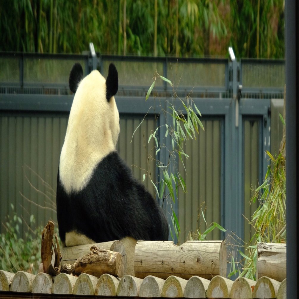 恥の感情を使った子育て｜Mika Sudo｜note