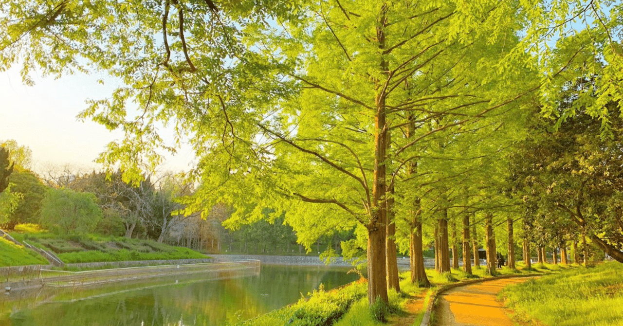 名前｜榛風 志堆/Harukaze Shite