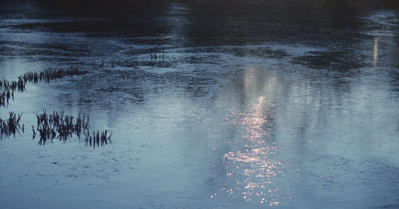 Flower｜Ryui｜note