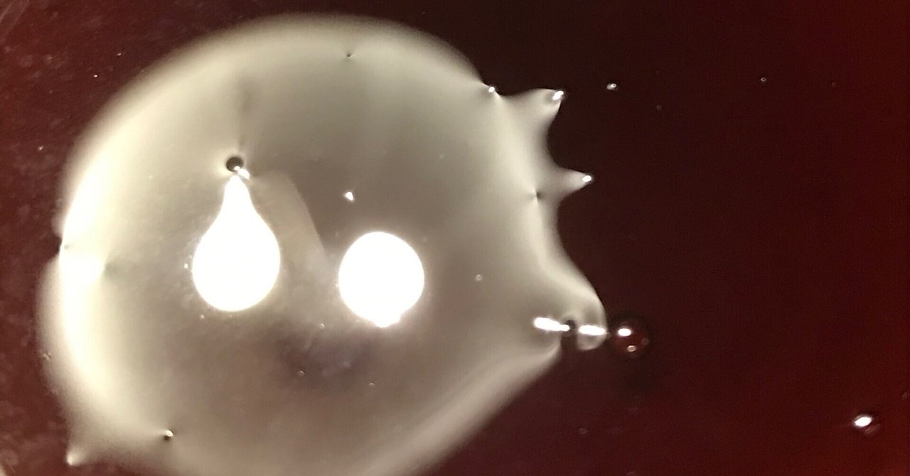 カラダからだ｜yuco｜note