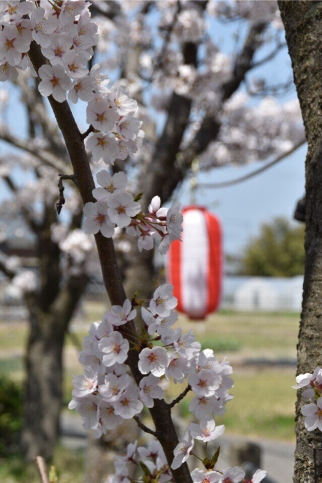 連日寒い｜charu_mobile｜note