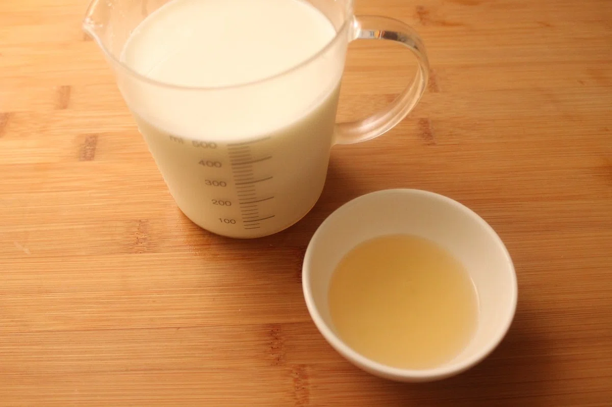 How to Make Homemade Ricotta (No Heavy Cream Version)｜樋口直哉 ...