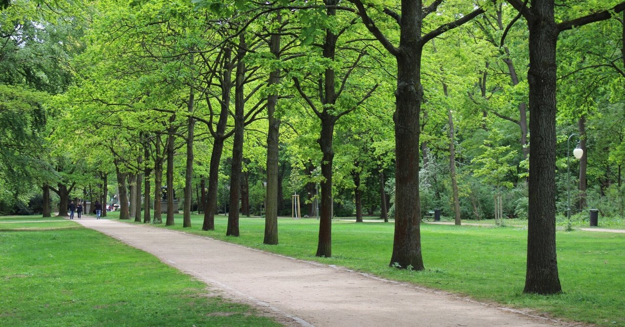 就活で絶望してた女子大生が、3ヶ月で自走できるまで成長し、納得の就職をした話。｜Abuild就活｜note