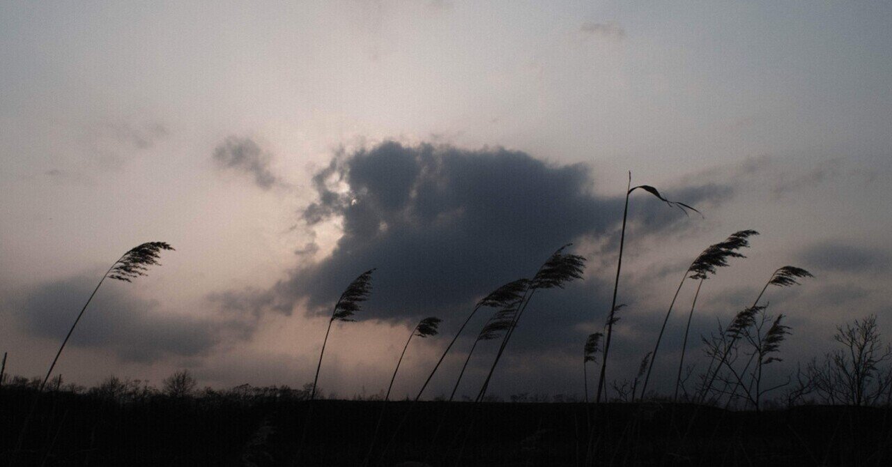 幸せな時間｜Koji Kato｜note