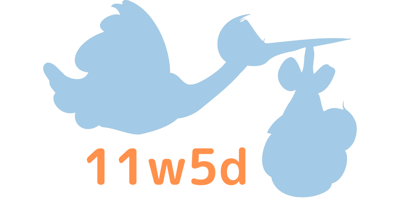 11w5dのつわり｜男性不妊症、へのへのでっぱの育児日記｜note