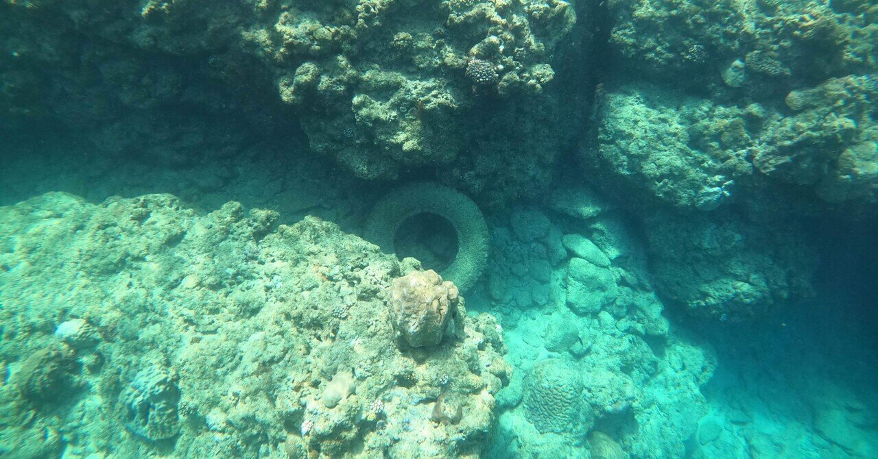 名瀬での1週間｜noguchi tappei｜note