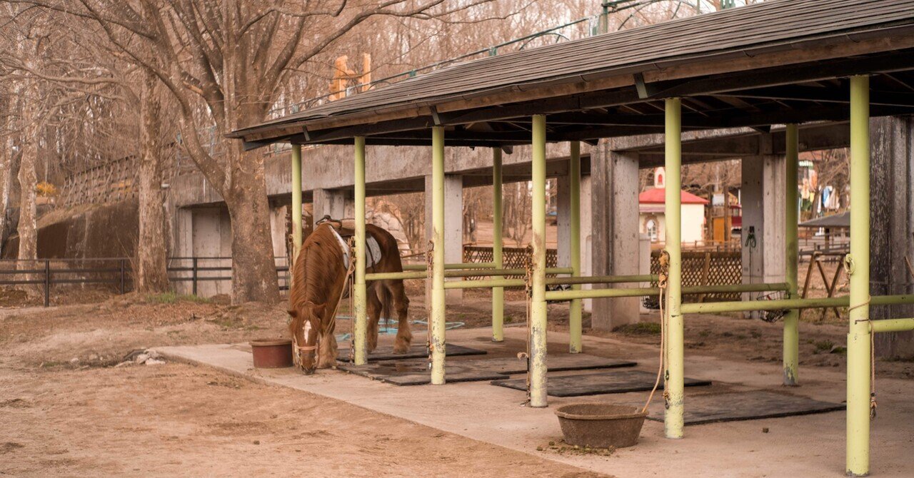 常識を疑えという言葉を疑え｜lain jing｜note