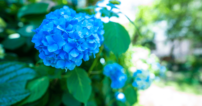 楠浦崇央／発明塾 塾長 & TechnoProducer CEO｜note