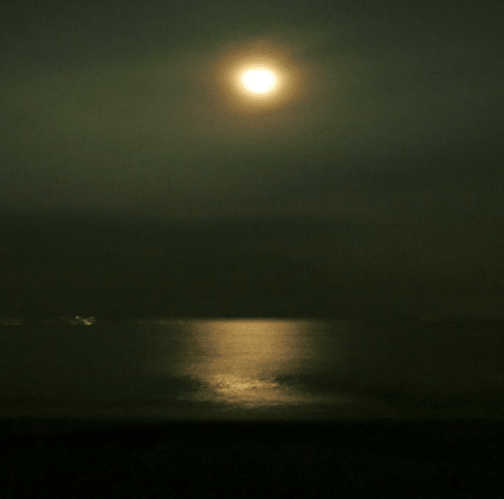 『月夜の浜辺』中原中也｜umi no oto｜note