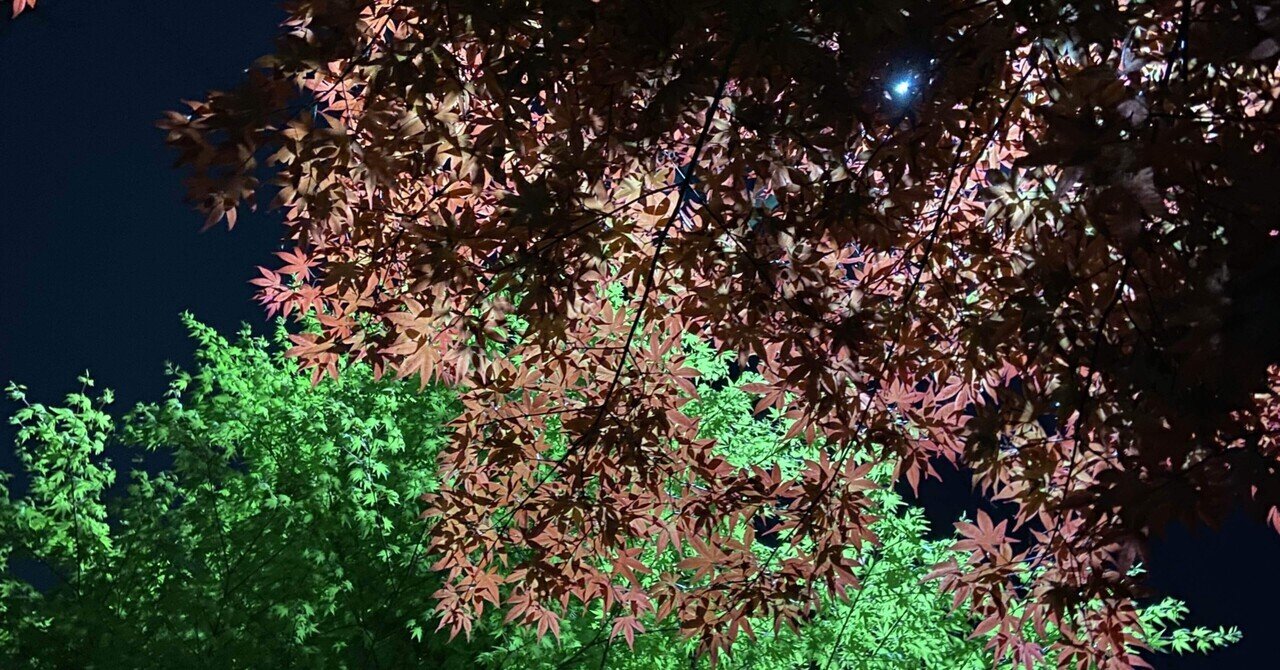 戯言 2022/04/24｜Rikuto｜note