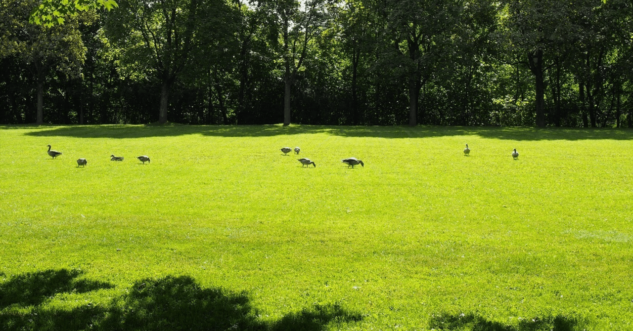 思考🏆達観と目先の行き来｜yuto_frabyn