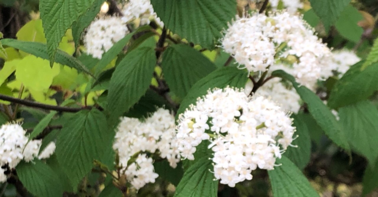 人生の重荷リリース⑭：おわりに｜Yumeka.yy｜note