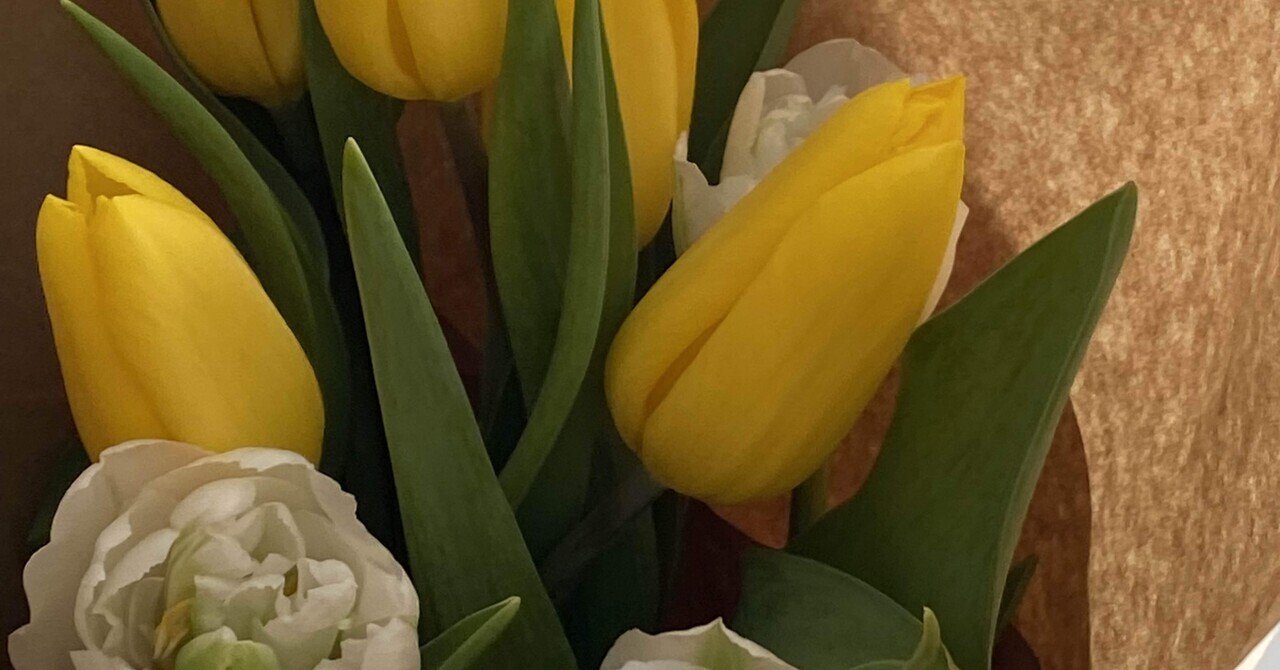 🗓2022年度カレンダー配布①｜swimmy_vlog｜note