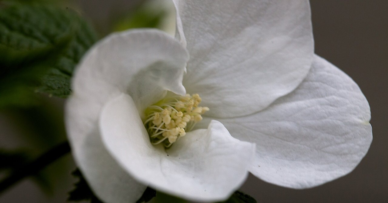 再投稿 [322] （2021/5/21）｜taku