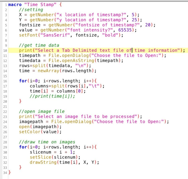 ImageJ macro, タイムスタンプ｜matsubayashi