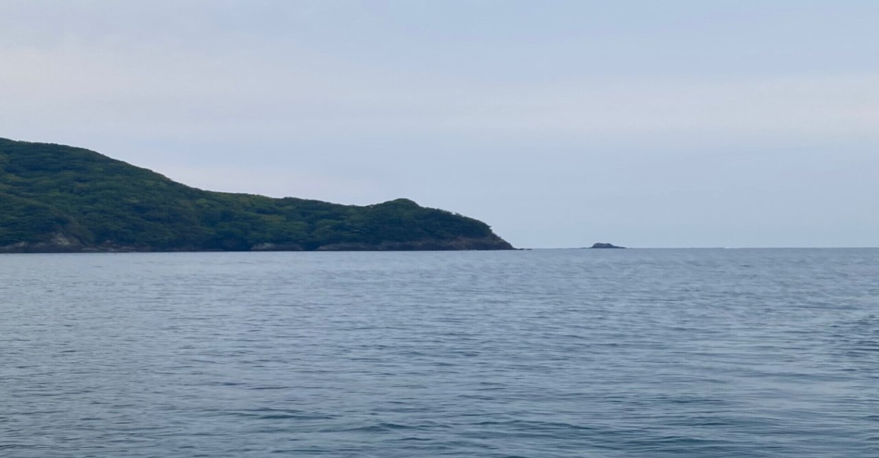 高級魚⁉️【アオリイカ】を釣る ️｜ジャンファミリー😎🤟