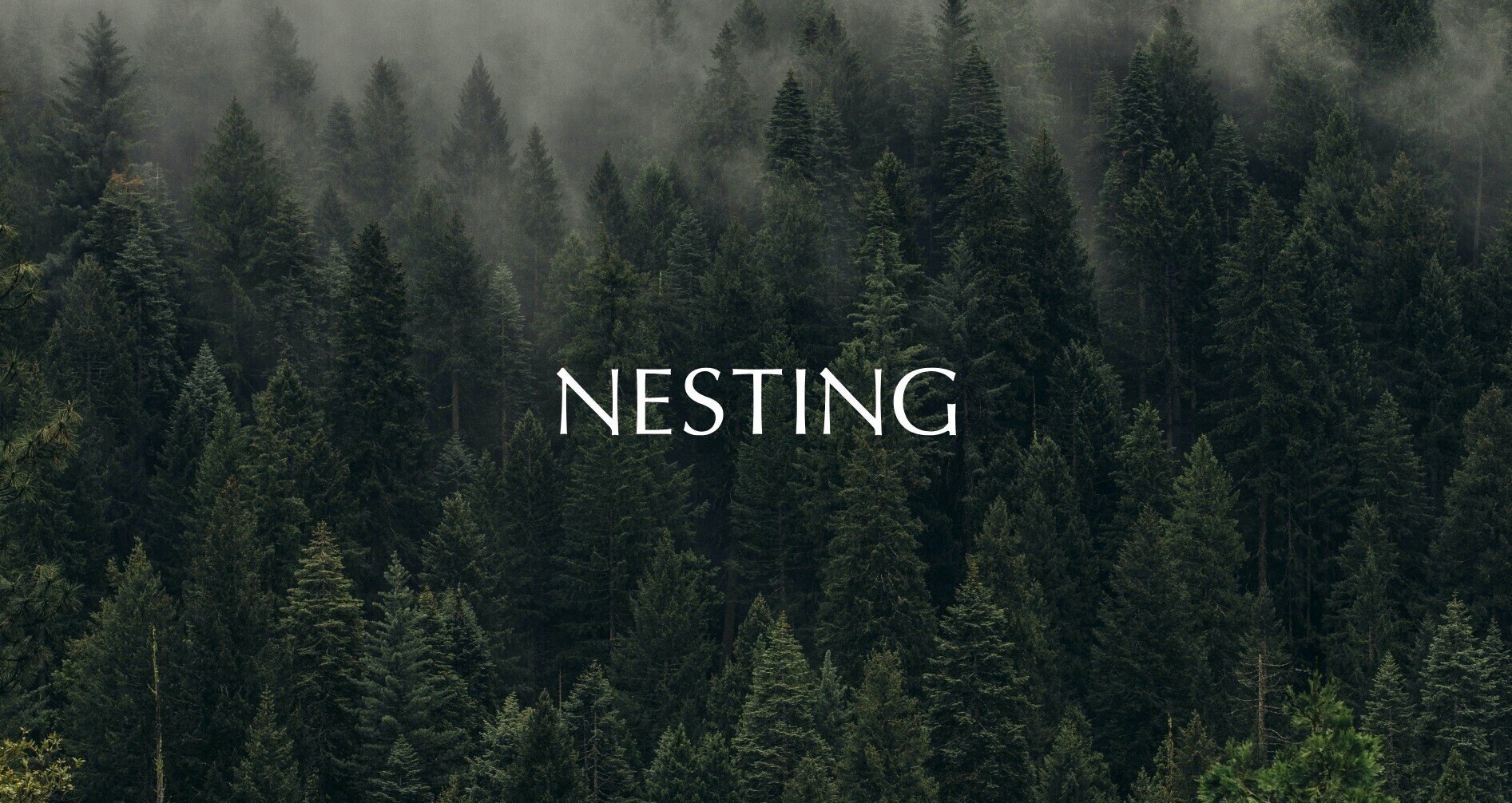 NESTING｜note
