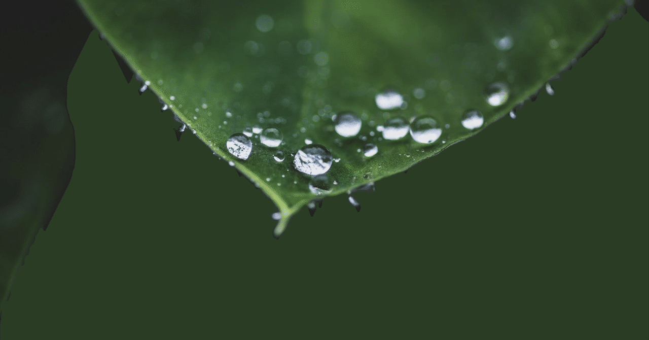 Sounds of Sola｜Sounds of Sola｜note