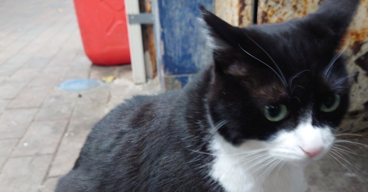 sendai_kabo3792｜note