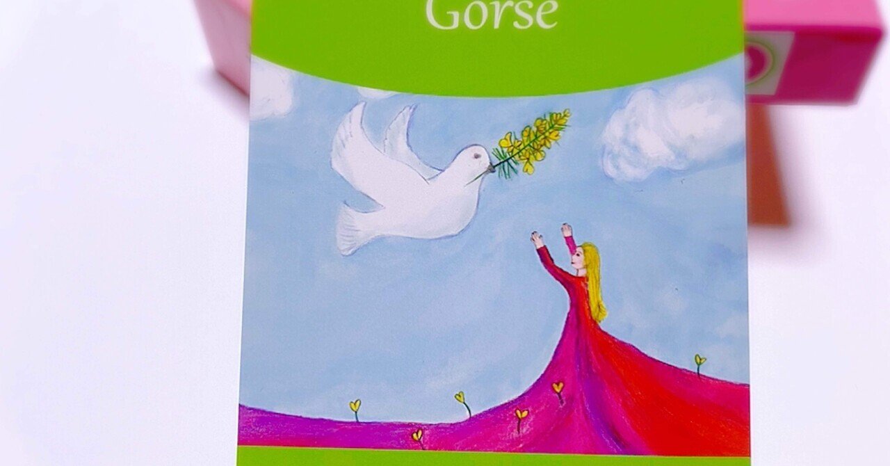 拗ねちゃまがキラキラしたはなし｜mizzy｜note