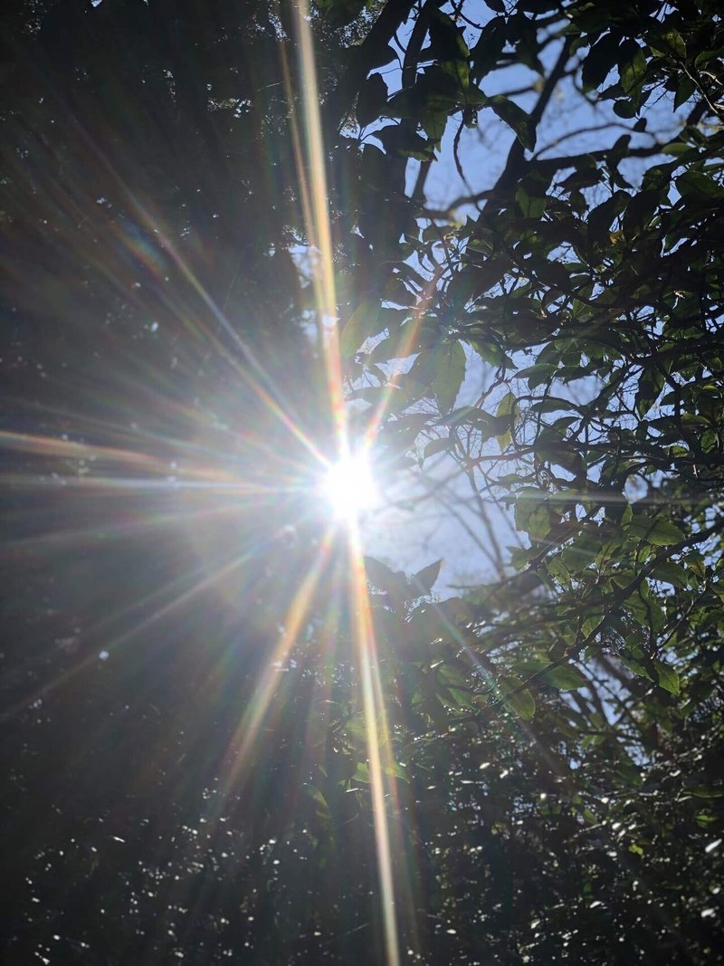 溢れた部分をお裾分けする｜彩華の言葉｜note